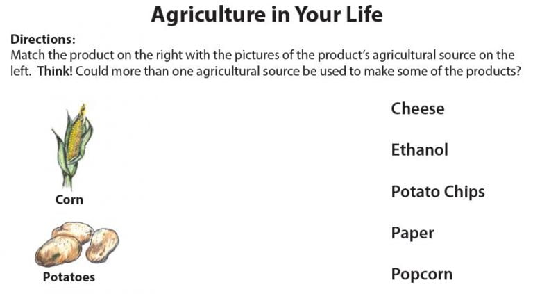Agriculture in Your Life Worksheet - Oregon Agriculture in the Classroom