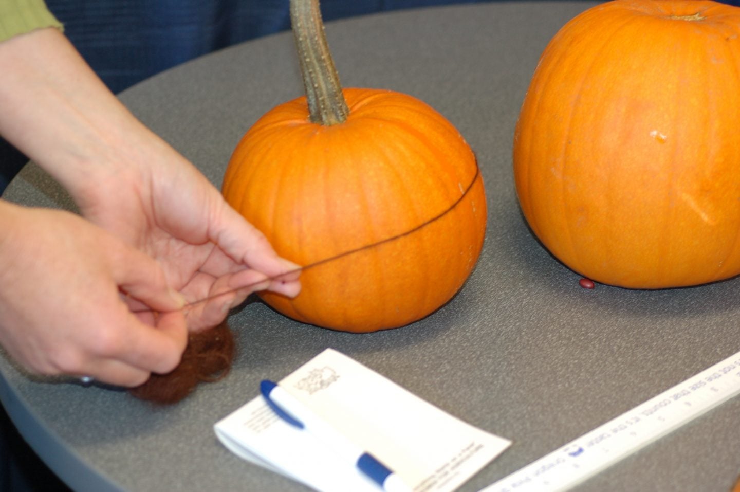 Math & Science Pumpkins - Oregon Agriculture in the Classroom