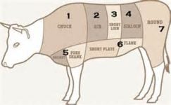 Where Does Meat Come From? Worksheet - Oregon Agriculture in the Classroom