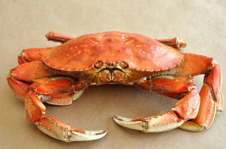 Resources | Oregon Agriculture in the Classroom