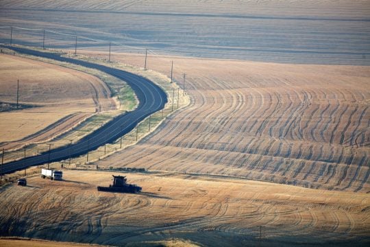 Wheat - Oregon Agriculture in the Classroom