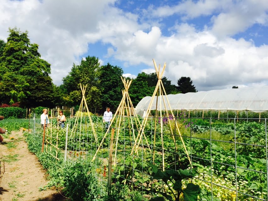 Success Stories | Oregon Agriculture in the Classroom