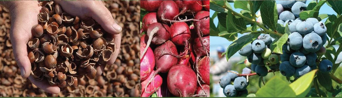 Careers in Agriculture Videos - Oregon Agriculture in the Classroom