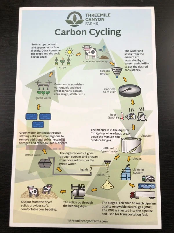 Carbon Cycling Poster - Oregon Agriculture in the Classroom