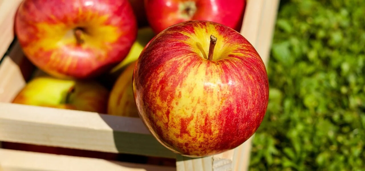 Apples - Oregon Agriculture in the Classroom