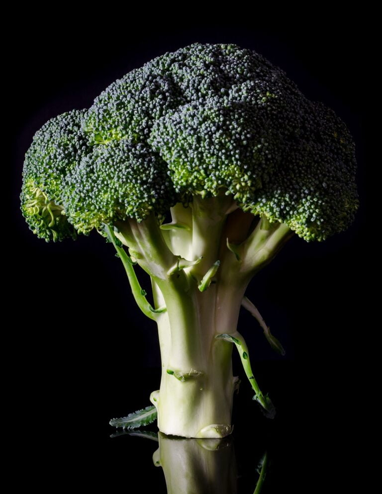 Broccoli - Oregon Agriculture in the Classroom