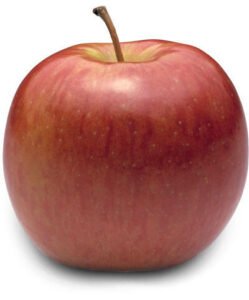 Apples - Oregon Agriculture in the Classroom