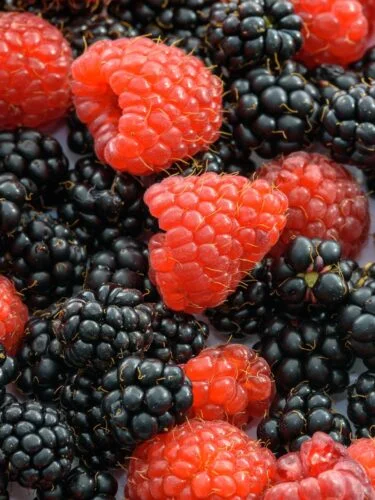 Caneberries - Oregon Agriculture in the Classroom