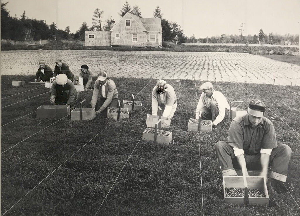Cranberries - Oregon Agriculture in the Classroom