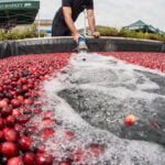 Cranberries - Oregon Agriculture in the Classroom