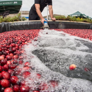 Cranberries - Oregon Agriculture in the Classroom