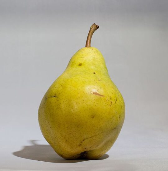 Pears - Oregon Agriculture in the Classroom