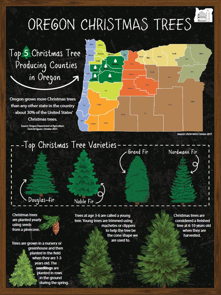 Holiday Foods & Oregon Christmas Trees Poster - Oregon Agriculture in ...