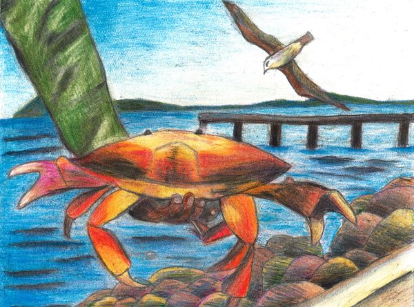 Calendar Art Contest - Oregon Agriculture in the Classroom